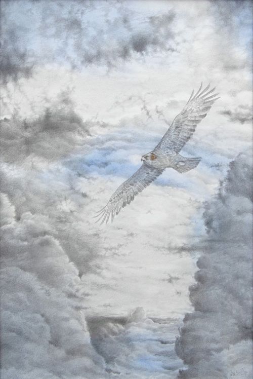 Colin Woolf | Artist | Resipole Studios