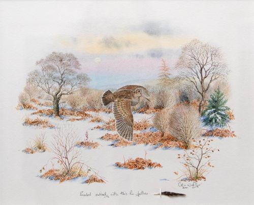 Colin Woolf | Artist | Resipole Studios