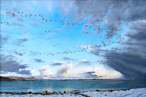 Colin Woolf | Artist | Resipole Studios